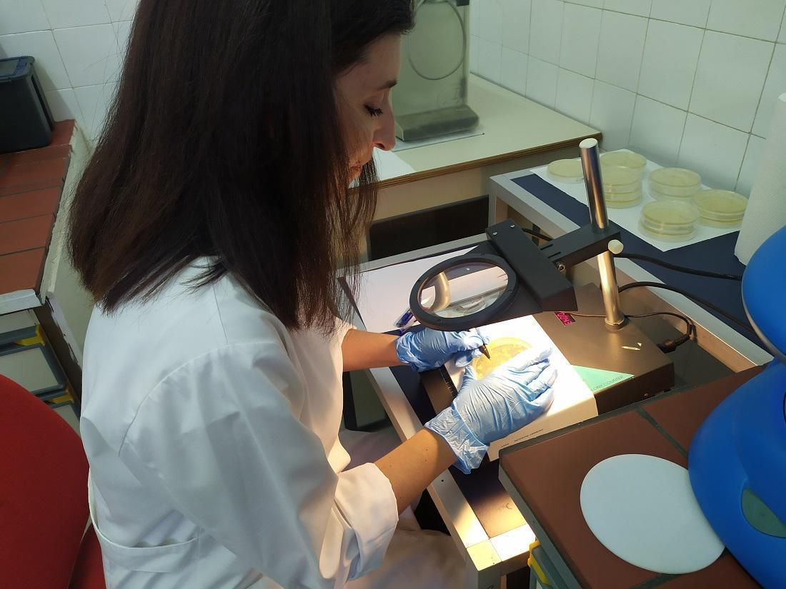 PCR τεστ για τον εντοπισμό νοθευμένων προϊόντων - Ηπειρωτικός Αγών